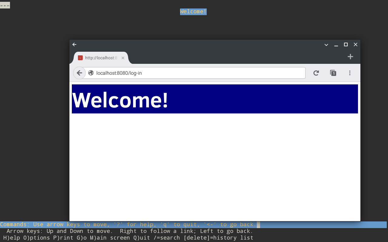 How I built a web server using Go — and on ChromeOS
