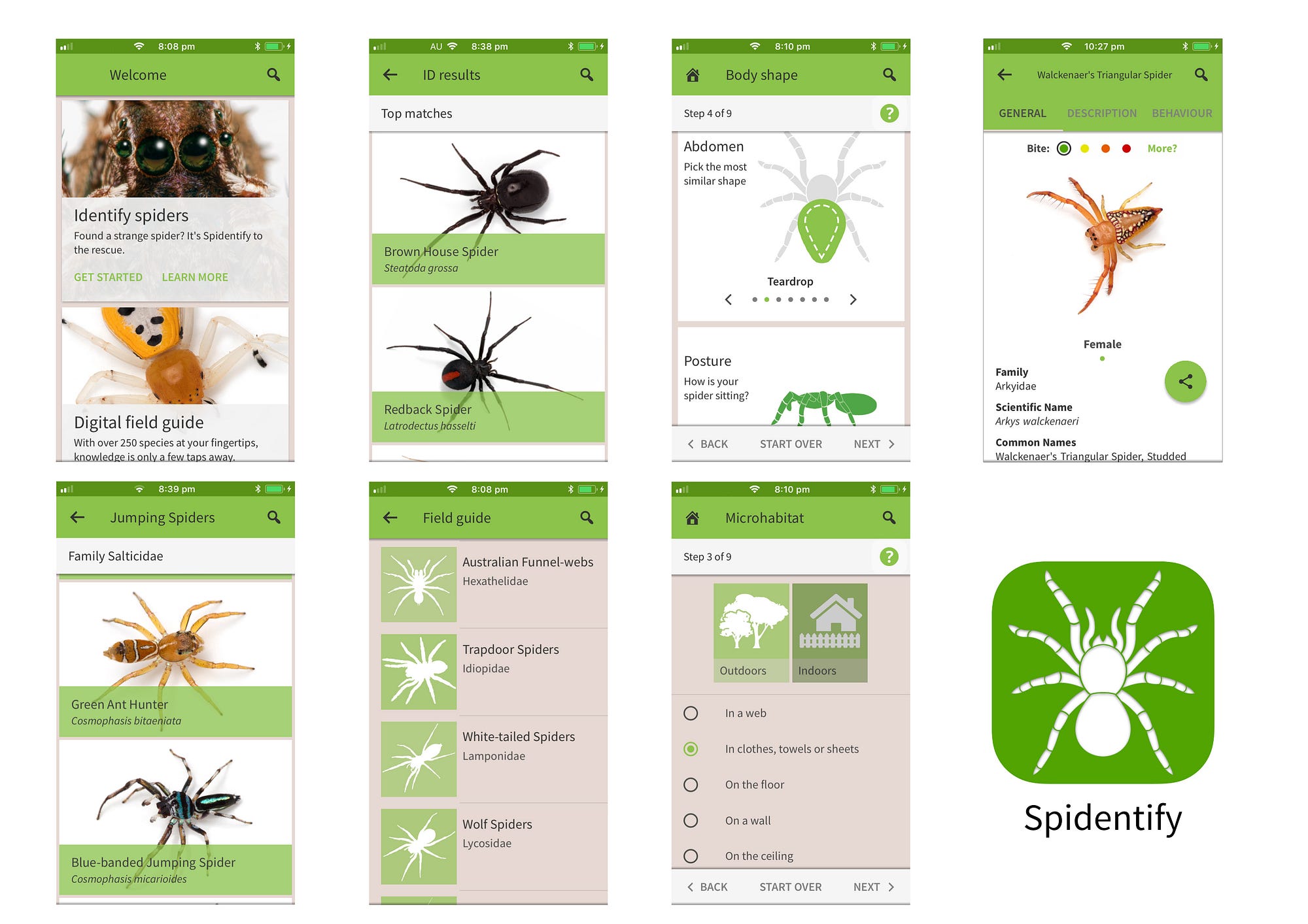 Identifying Australian Spiders with Icons | by Lindsay Stuart | Noun ...