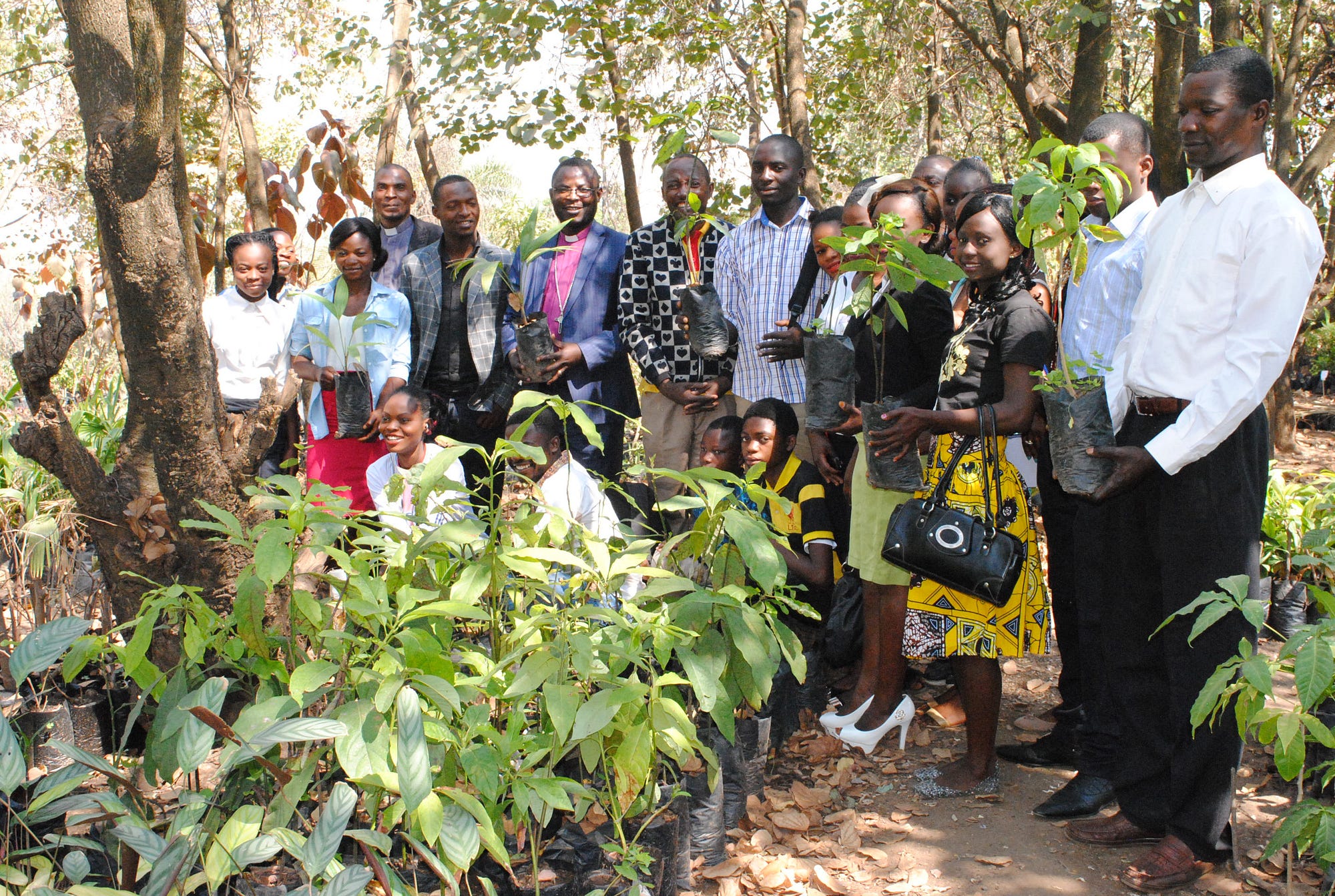 Season of Creation Spotlight: Katanga, Democratic Republic of the Congo ...