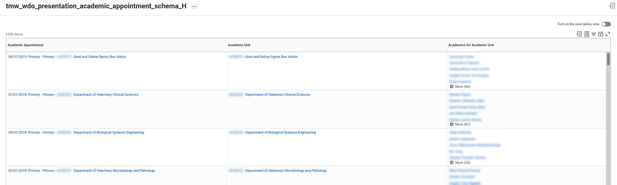 Understanding Workday Data - Structural Ambiguity
