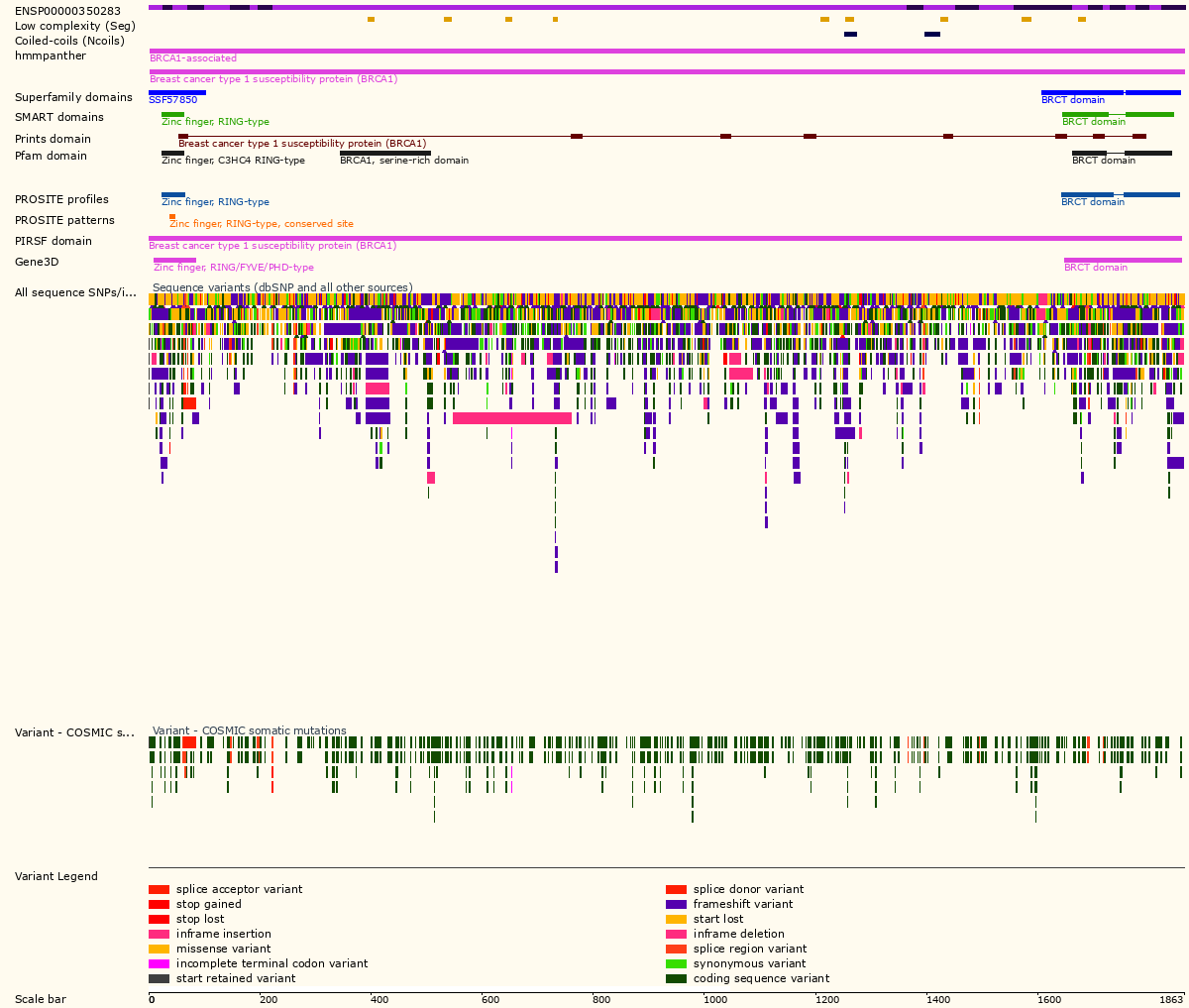 Designing digital products for bioinformatics — Part I | by Antonio ...