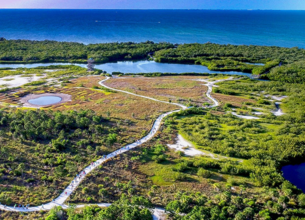 Summertime fun on the run in Manatee County | by Manatee County ...