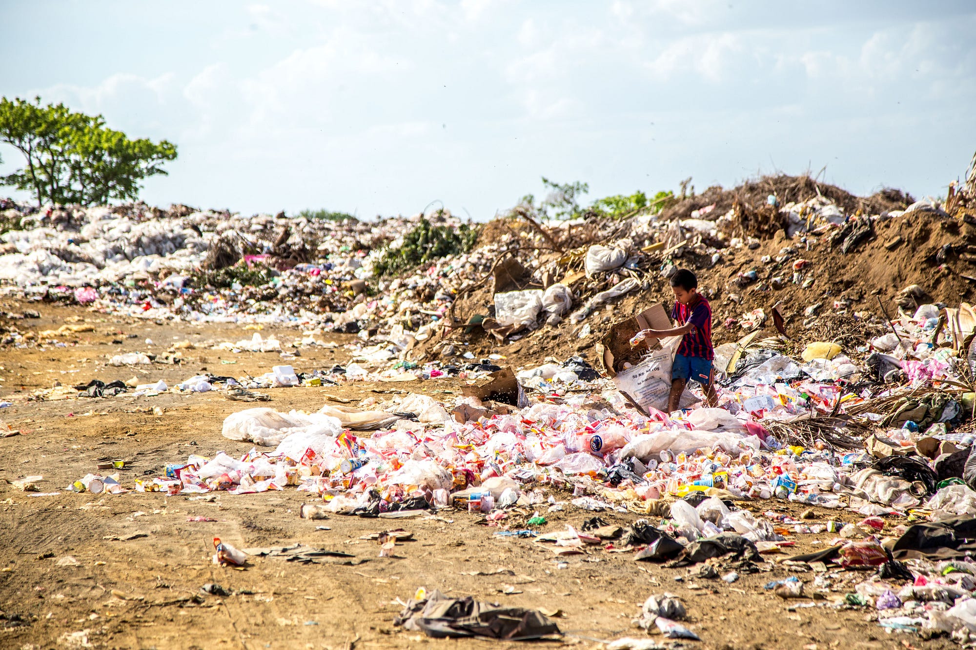 Your Sustainability Handbook: Helping to minimise your impact | by Sam ...