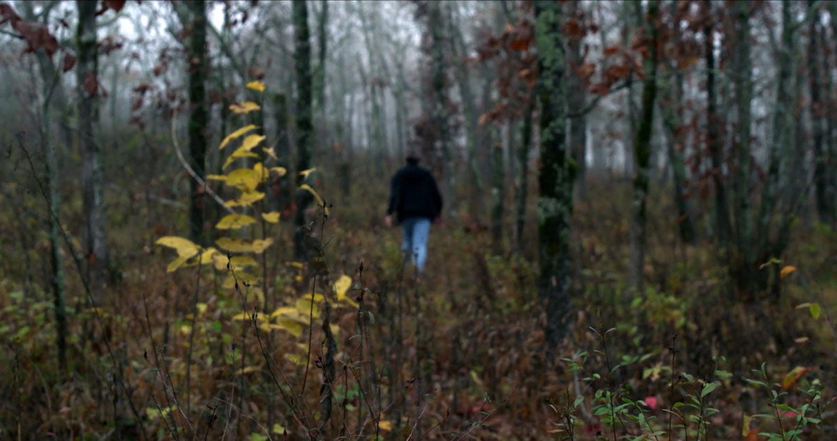 The Story of “Ingrid”: What It’s Like to Make a Documentary on a 15K ...