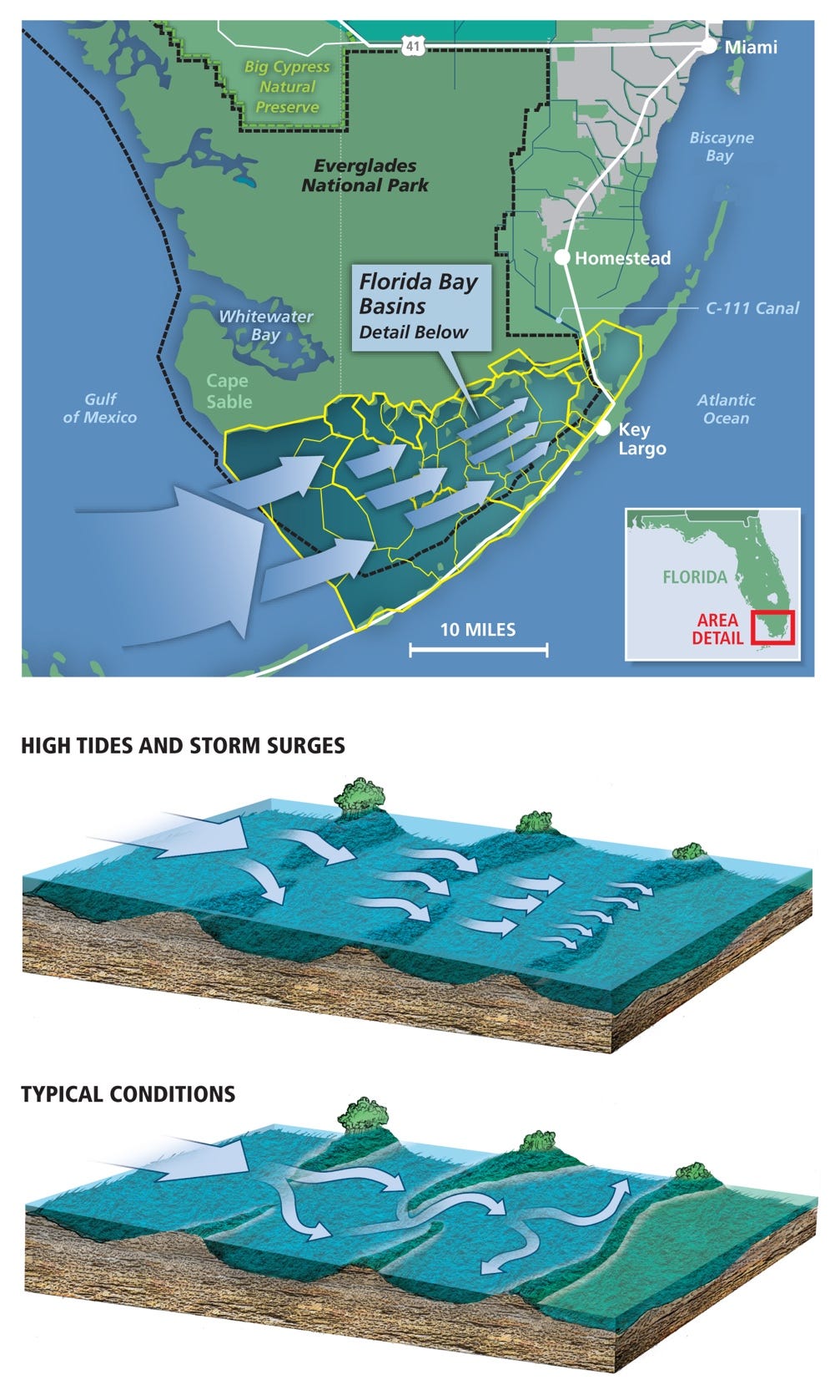 Florida Bay: A Unique Everglades Estuary | by Everglades Foundation ...