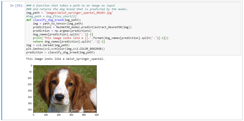 Dog Breed Classification using CNNs - Towards Data Science