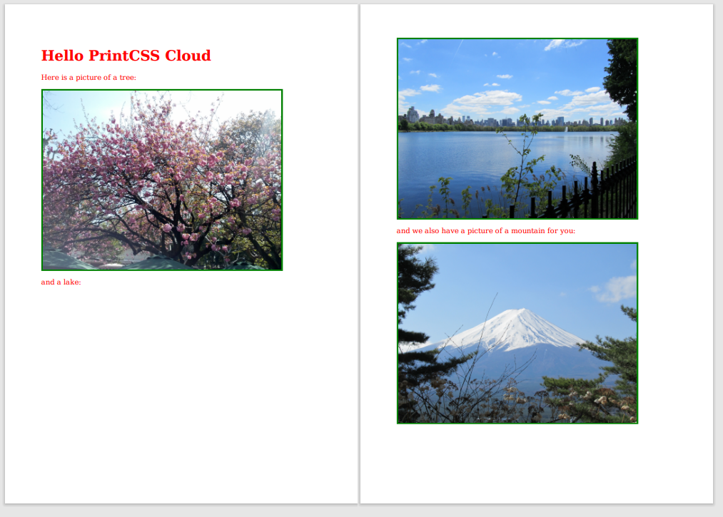 Introducing PrintCSS Cloud. Today I want to talk to you about my… | by Andreas Zettl | PrintCSS ...