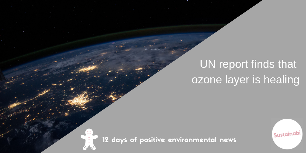 12 days of positive environmental news | by Abi Aldridge | Medium