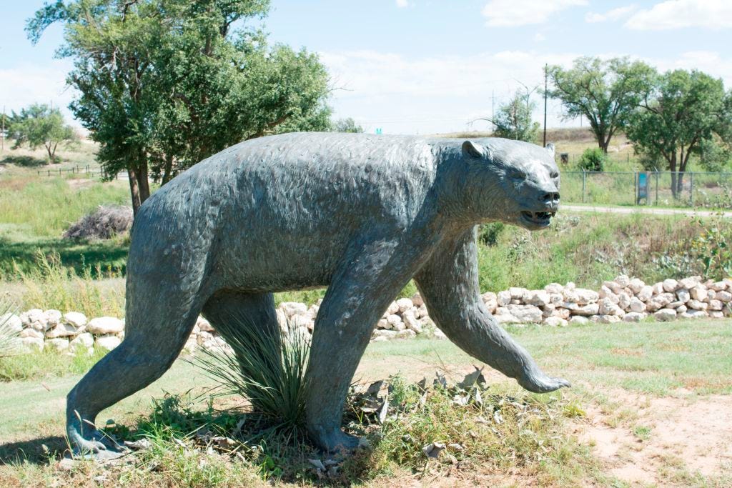 Photogrammetry: Short Faced Bear (Arctodus simus) 3D model