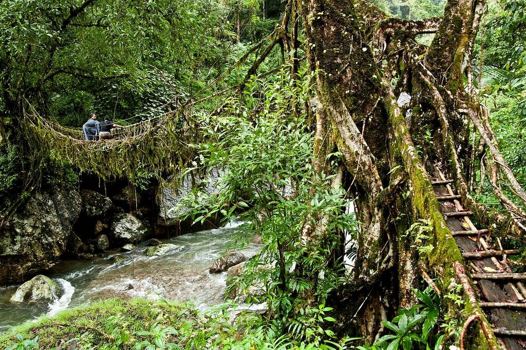 Weekend Diversion: The Living Bridges Of India - Starts With A Bang ...