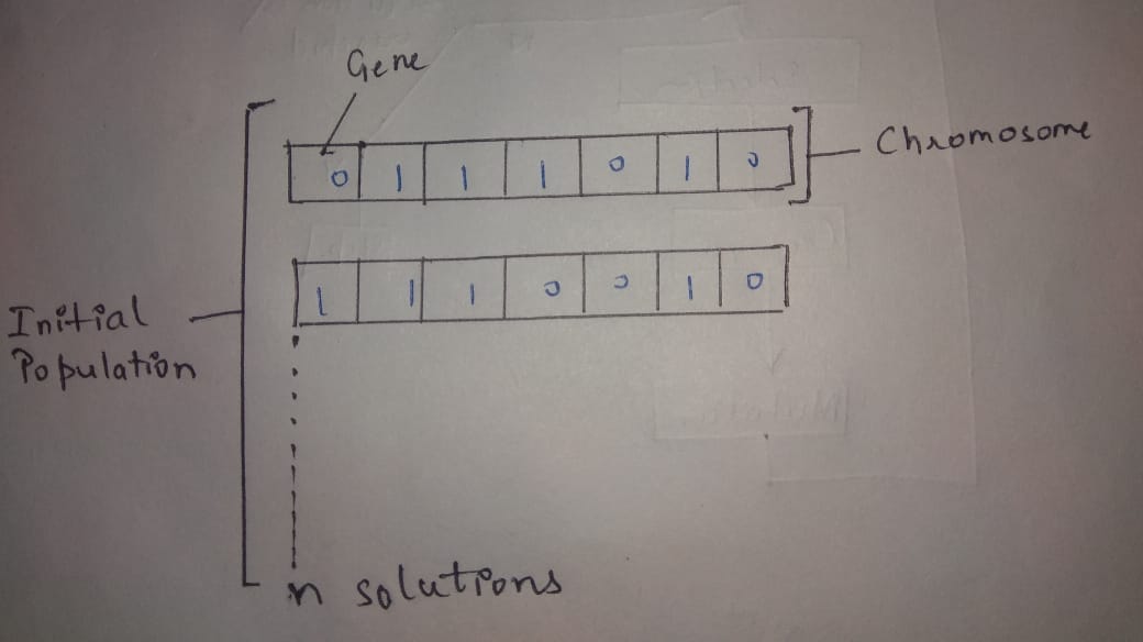 Genetic Algorithm Part 1 Intuition By Satvik Tiwari Koderunners Medium