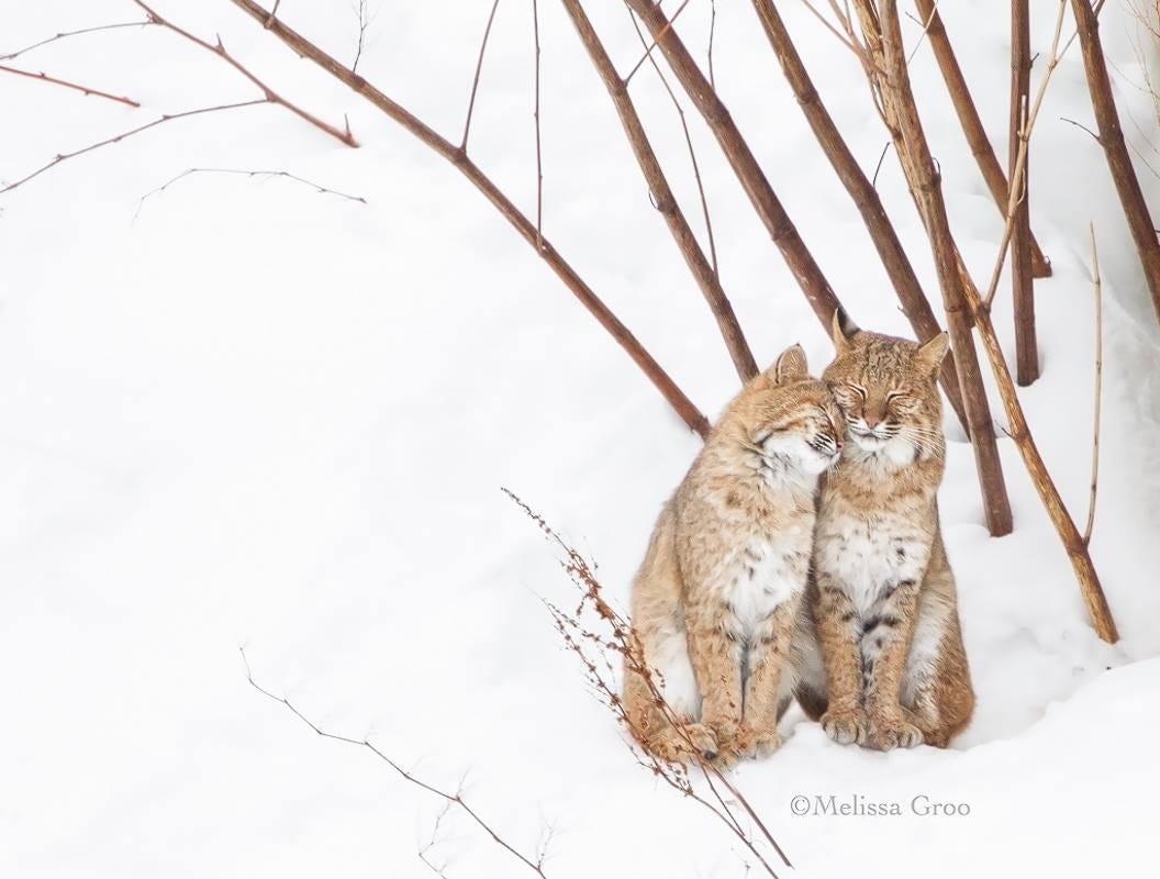 Photos For A Better Planet: 19 Photographers To Follow in 2019 | by ...