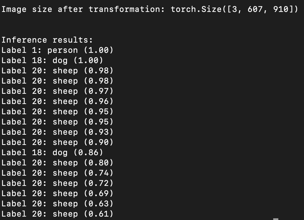使用 Pytorch 提供的預訓練模型 Pretrained Model 做物件偵測 Object Detection Rowants Medium