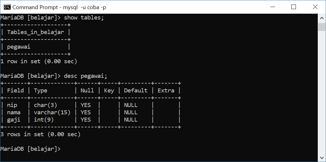 Pengantar SQL bagian 1. Mengenal SQL dengan MySQL/MariaDB | by RB ...