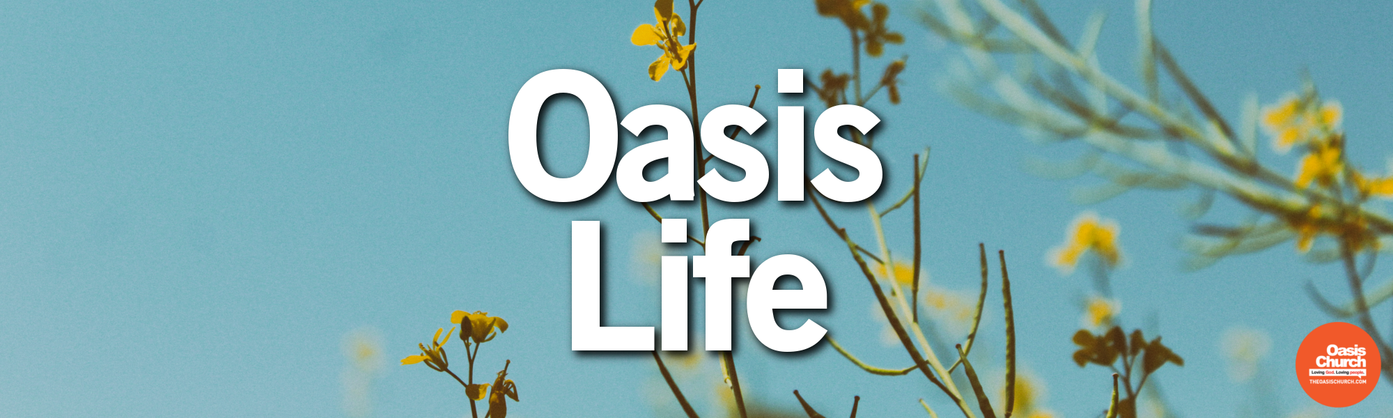 Oasis Life: March 2017. Keeping you up to date with everything… | by ...
