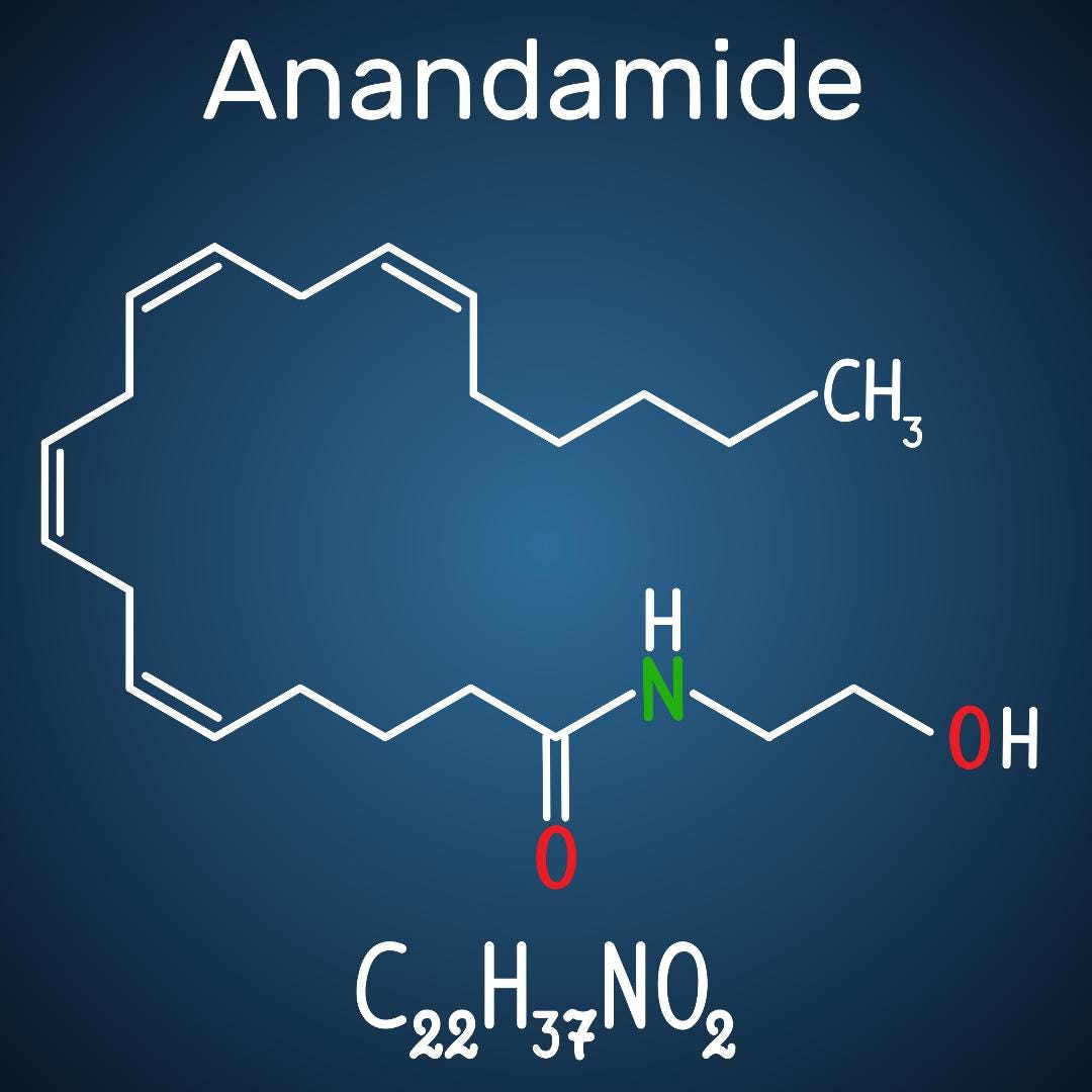 Simple ways to Boost Anandamide: Your Endogenous Antidepressant. | by ...