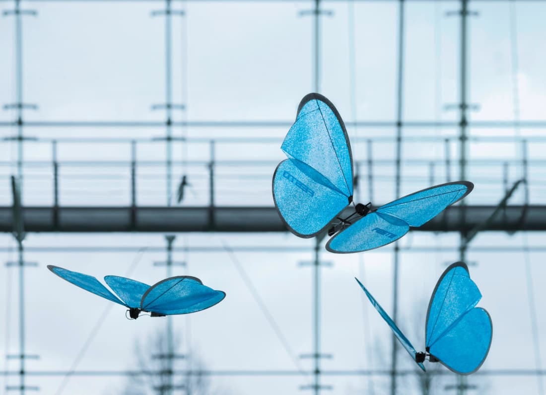 Biomimicry: How Nature Inspires Smart Design | by Justyna Cyrankiewicz ...