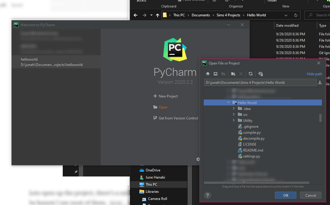 The Sims 4 Modern Python Modding: Project Template | by June Hanabi ...