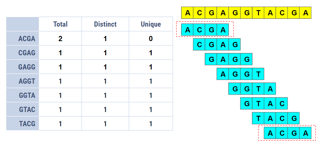 Bioinformatics 1: K-mer Counting. A challenging yet intriguing… | by ...
