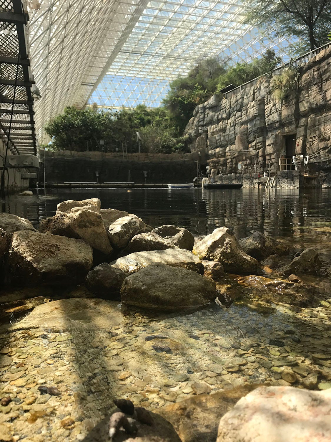 Biosphere 2: In Focus. Science Journalism students and… | by SciView ...