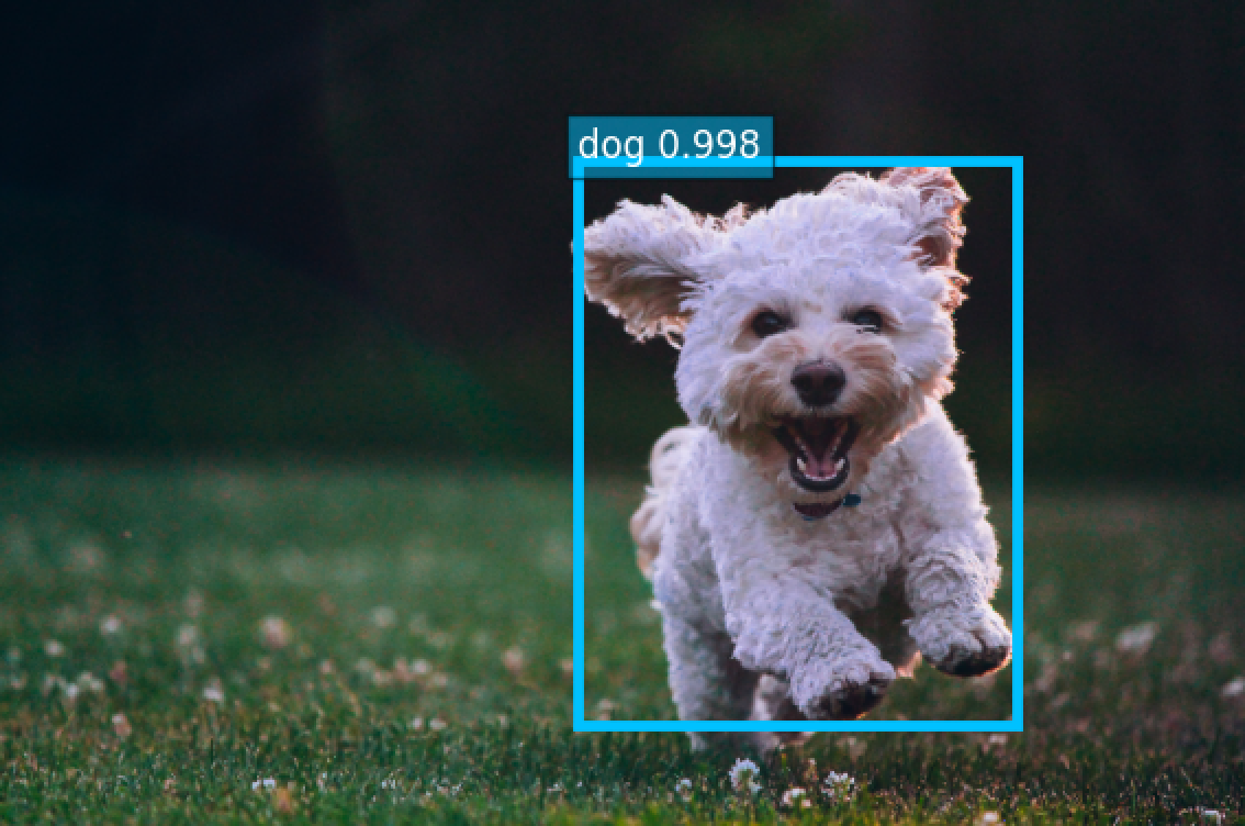 Web Scraping using Selenium and YOLO to build Computer Vision datasets ...