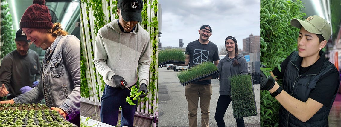 Square Roots and Gordon Food Service to open Indoor Farm in Michigan ...