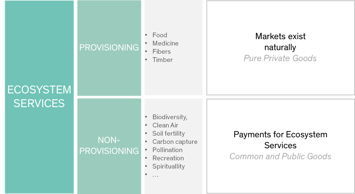 Payments for Ecosystem Services explained: financing the planet’s ...