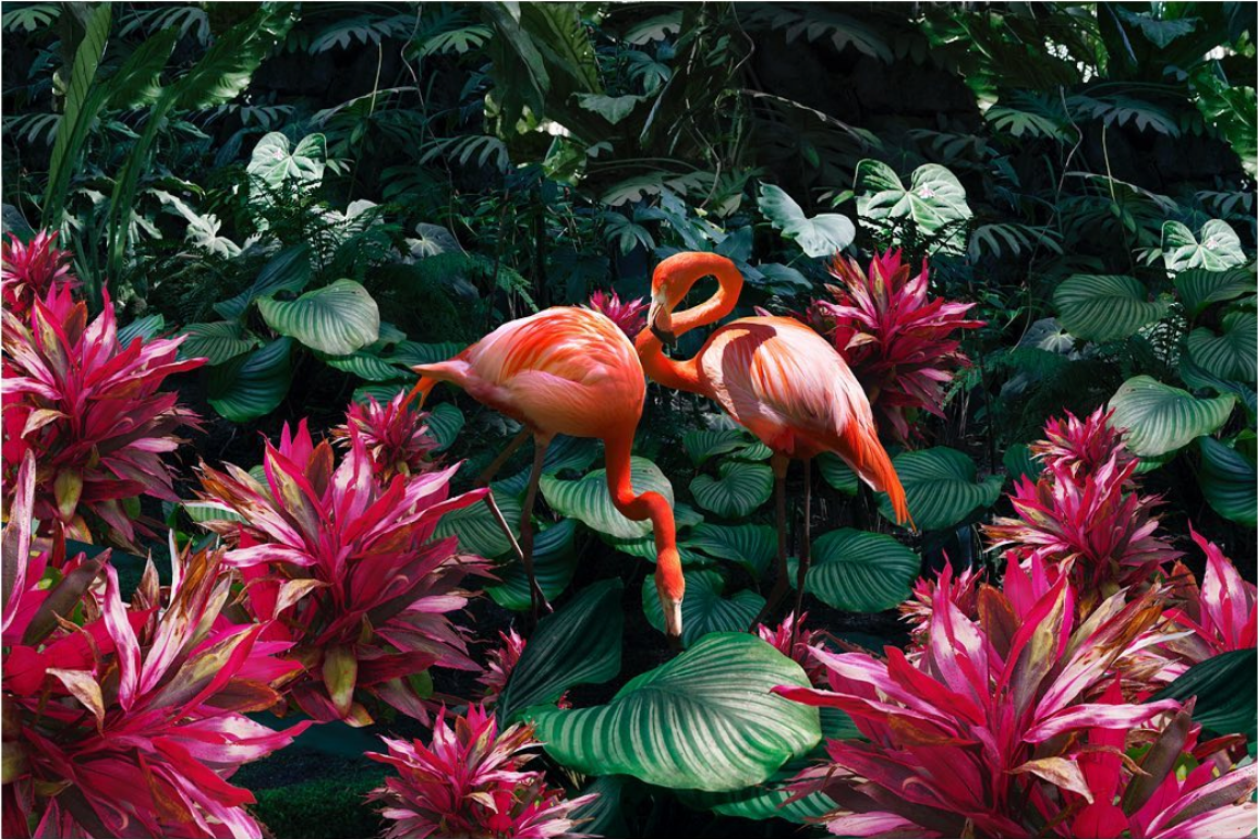 TSV_ZINE: Botanic Vibes. Call for Entries | by THE SMART VIEW | THE ...
