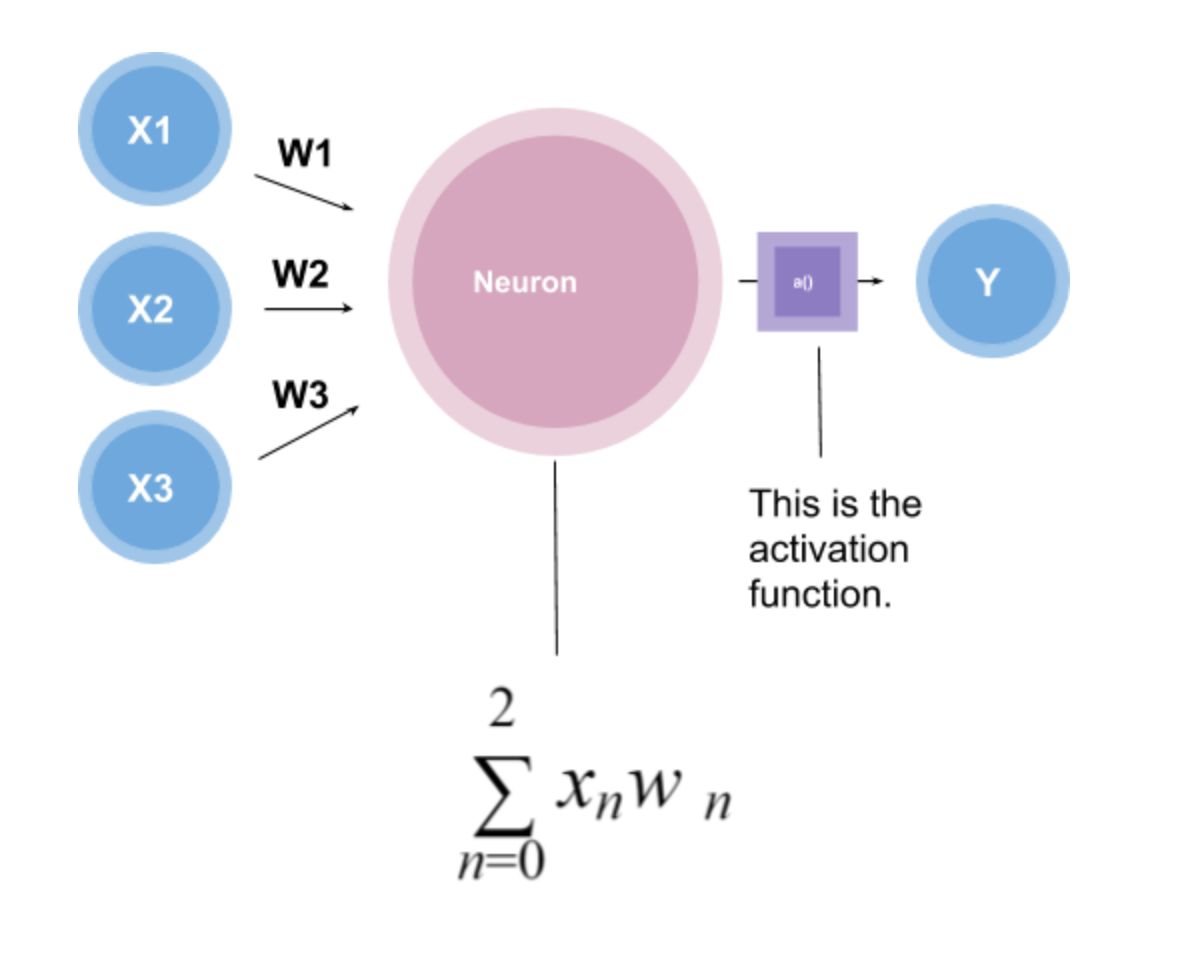 What is a Perceptron? – Basics of Neural Networks | by Anjali Bhardwaj | Towards Data Science