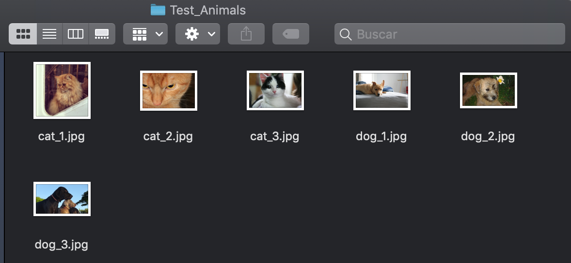 Generate Annotations for CreateML with Python (JSON Format) | by Erik Solís | Medium