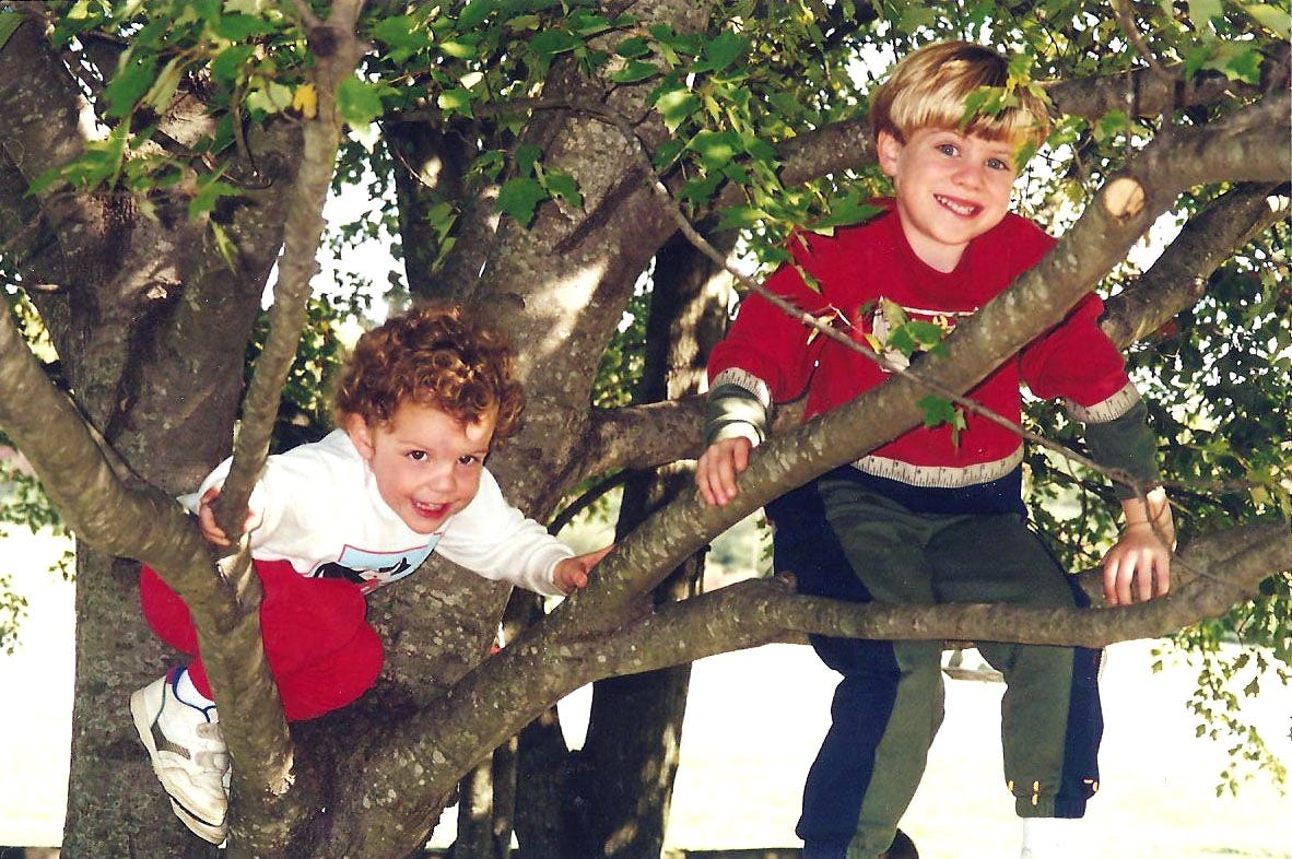 Family Climbing Tree - Hog Mountain Road - Medium