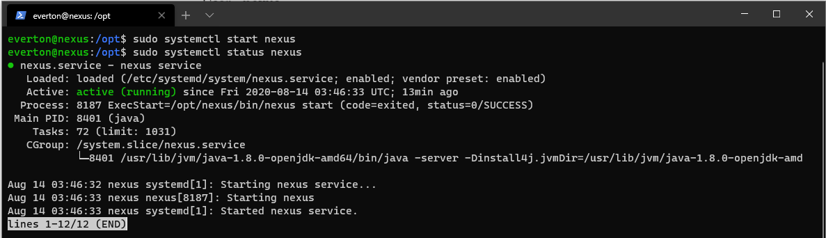 Install SonaType Nexus 3 On Ubuntu 20.04 LTS | by Everton Araújo | Medium