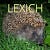 About – lexich – Medium