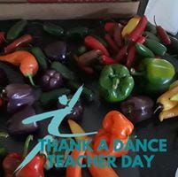 People following Susan Kirchner