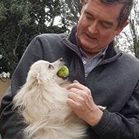 Roger Berk – Medium