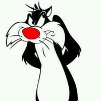 B. M. Nazmus Sakib – Medium