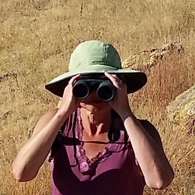 About – Amy Mathews Amos – Medium