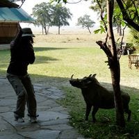 Wandee Lee – Medium