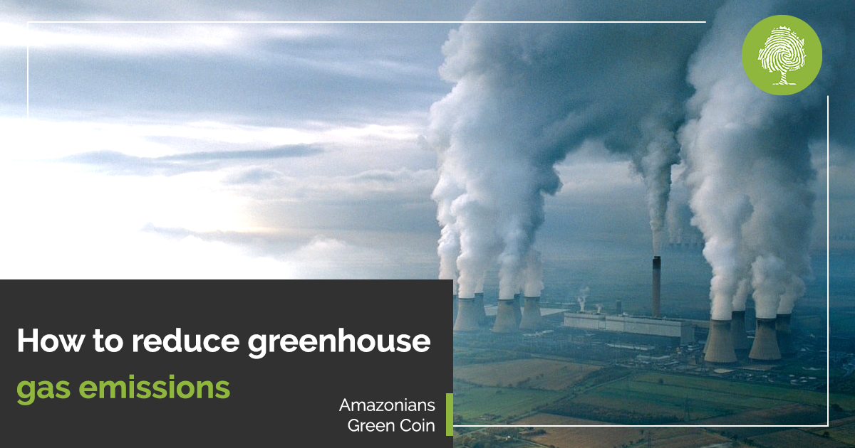 How to reduce greenhouse gas emissions - Amazonians Green Coin - Medium