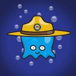 Ranger Jelly – Medium
