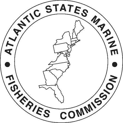ASMFC – Medium