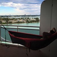 People following Dmitry Traytel