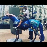 Jordan Palacio – Medium