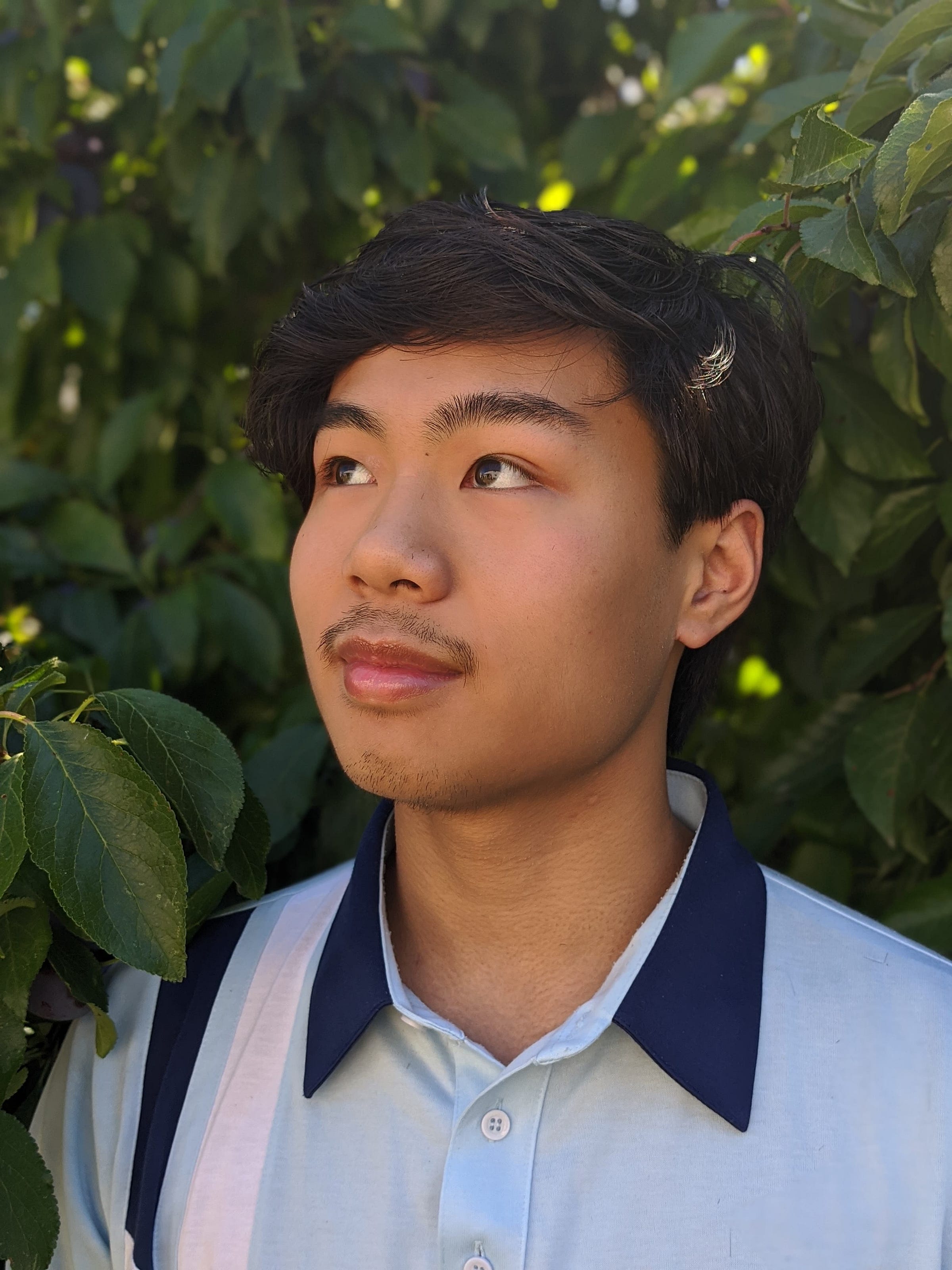 Ryan Bautista – Medium