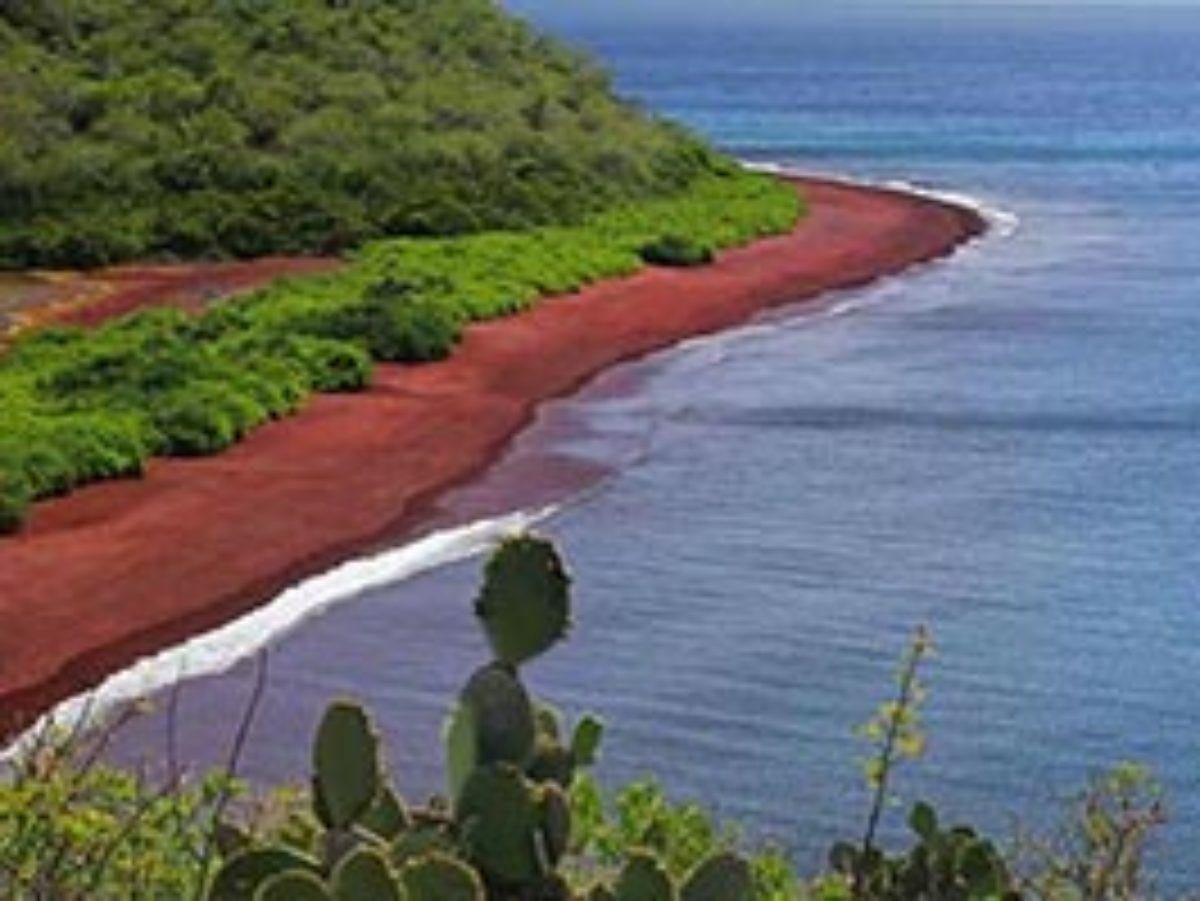 The rarest beaches in the world.. — A unique glass beach in… | by ...
