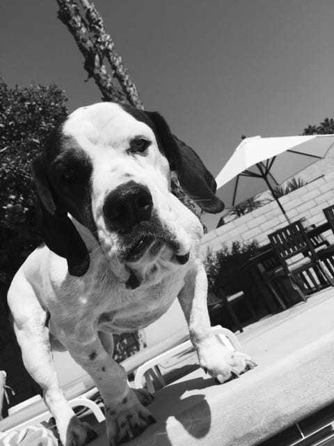 Joe Melanson – Medium