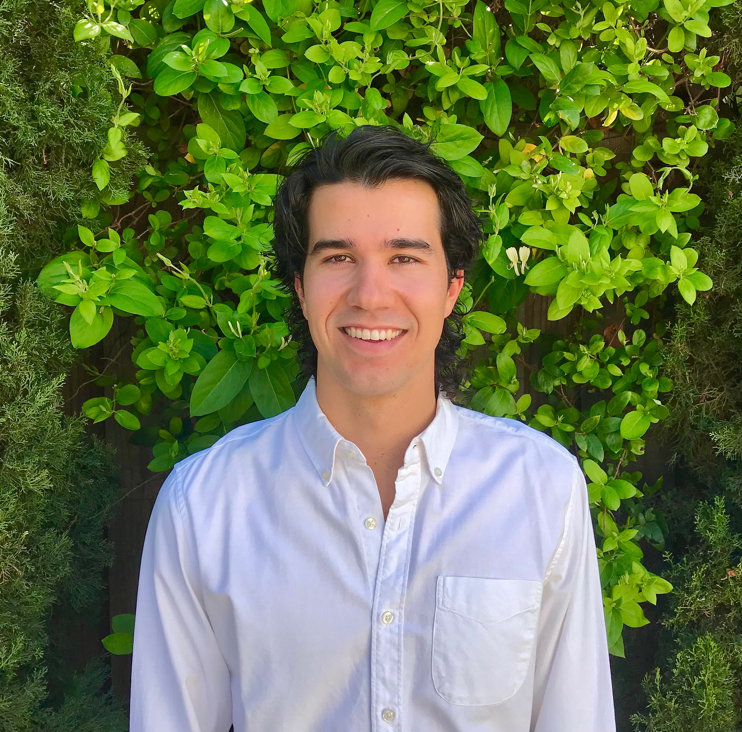 Gerrit van Zyll – Medium