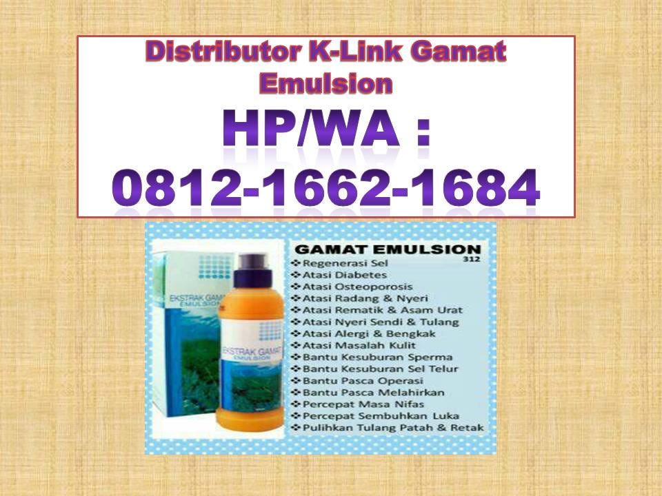 Distributor K link Gamat – Medium