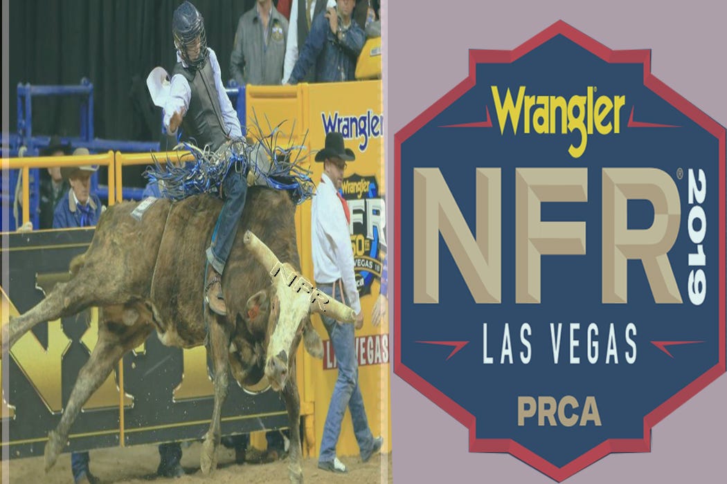 People followed by nfr 2021 live
