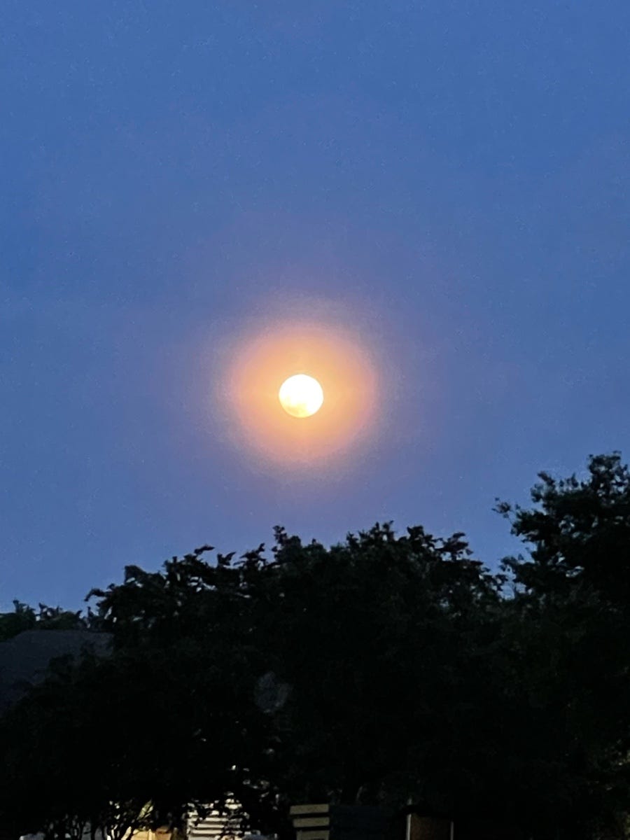 People followed by Harish P